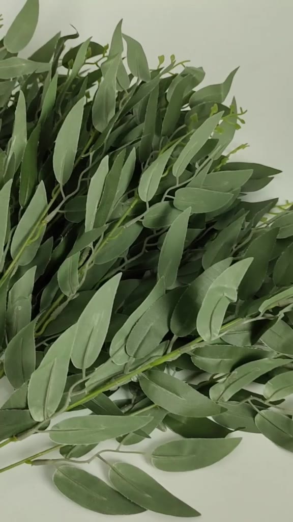 Jual Daun Willow Cabang 5 - tanaman hiasan import murah - hiasan ...