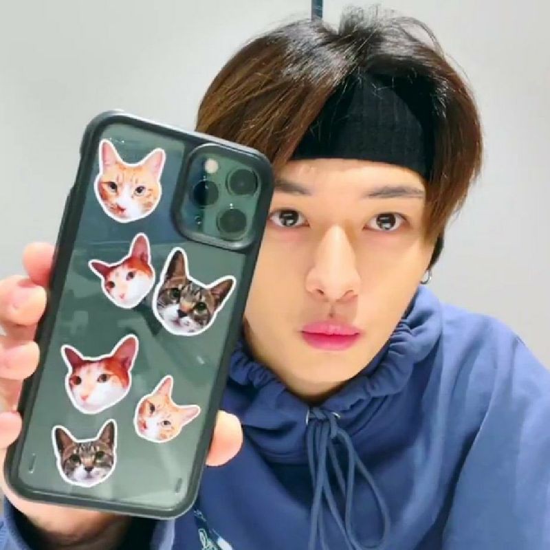 Jual Phone Case HP Lino Stray Kids lee know kiciw lee minho SKZ Kucing ...