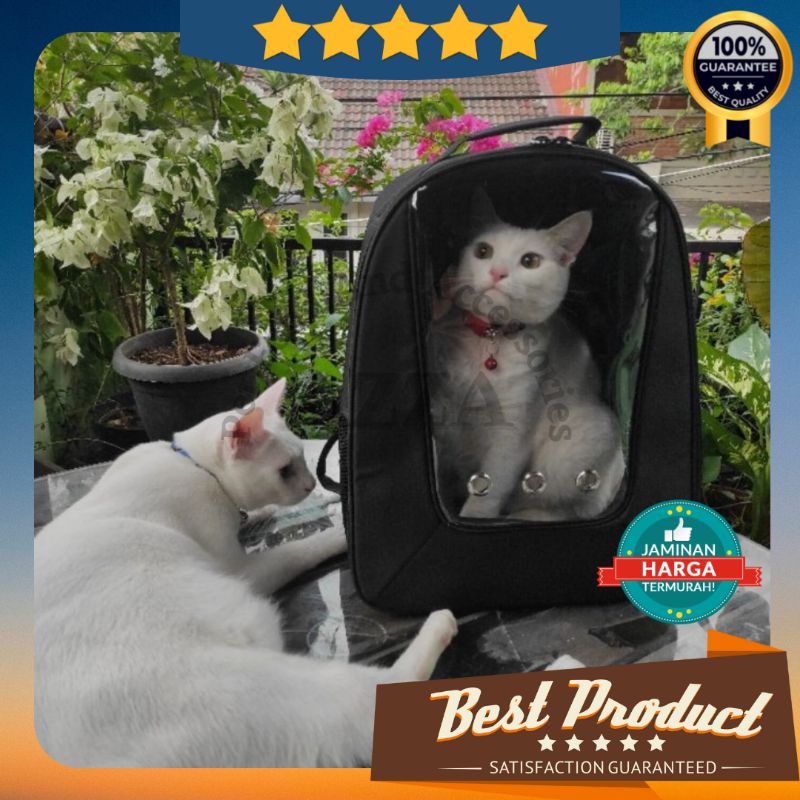 Jual Tas Kucing Transparan Gratis Mainan Bola / Tas Hewan / Ransel ...
