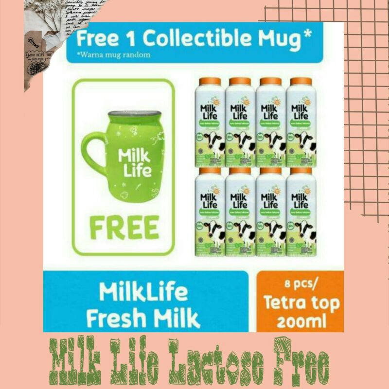 Jual MilkLife Lactose Free 200ml (FREE MUG CANTIK) | Shopee Indonesia