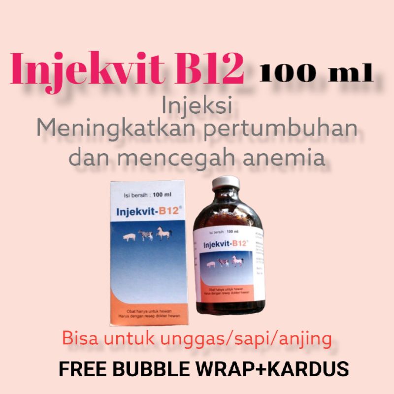 Jual vitamin injekvit B12 100 ml medion-vitamin injeksi B12 | Shopee ...
