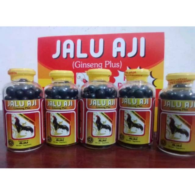 Jual Jalu aji | Shopee Indonesia