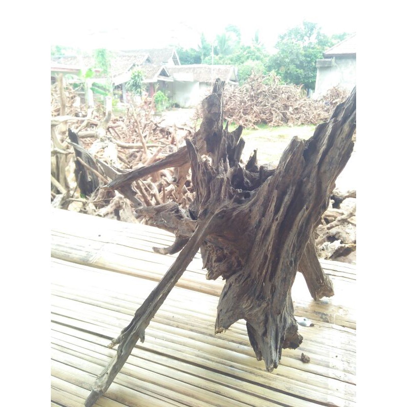 Jual kayu rentek aquascape paludarium | Shopee Indonesia