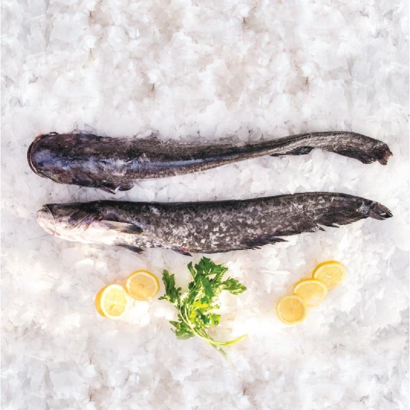 Jual Ikan Lele Bumbu Kuning (Frozen) | Shopee Indonesia