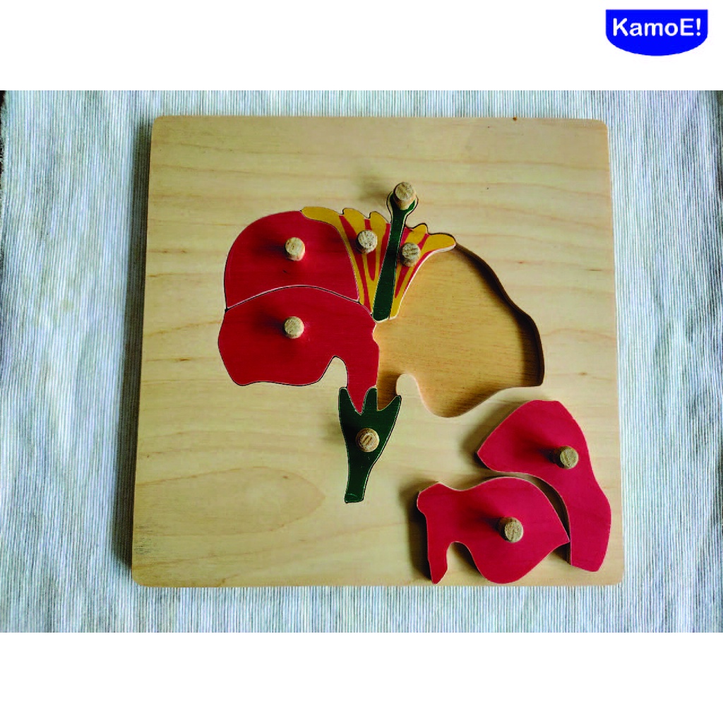 Jual Botany Puzzle: Bunga | Shopee Indonesia