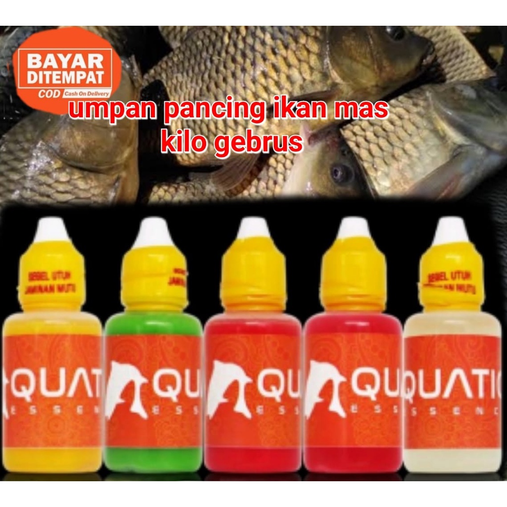 Jual essen mancing ikan mas kilo gebrus harian | Shopee Indonesia