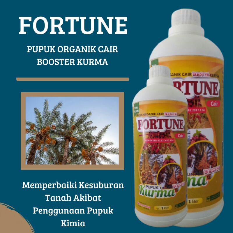 Jual Pupuk Booster Untuk Tanaman Buah Kurma, Pupuk Kurma Perangsang Pelebat Buah Kurma TERBAIK ...