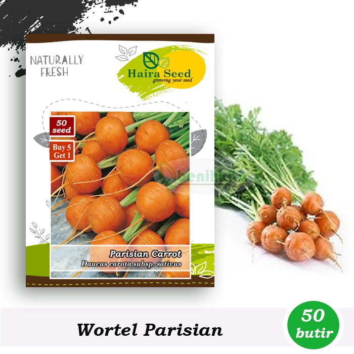 Jual Benih-Bibit Wortel Mini Bulat Parisian (Haira Seed) | Shopee Indonesia