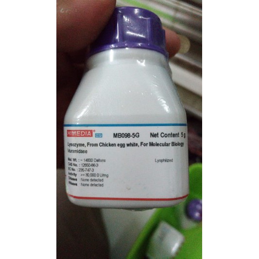 Jual Lysozime MB grade / Muramidase Himedia 5 gram MB098 / Lysozyme | Shopee Indonesia