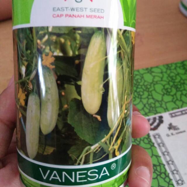 Jual Benih timun vanessa cap panah merah | Shopee Indonesia