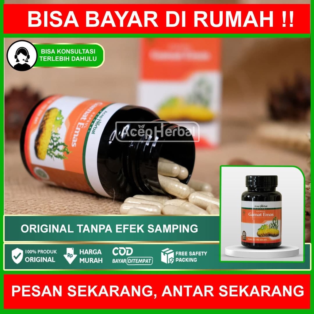 Jual Obat Batu Empedu Batu Ginjal Prostat Kapsul Gamat Emas 100% Herbal ...
