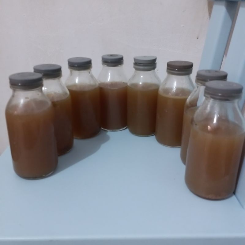 Jual sari ikan kutuk ikan gabus home made | Shopee Indonesia