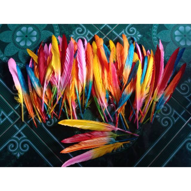 Jual Bulu Angsa untuk anak panah Gradasi warna isi 100 helai | Shopee ...