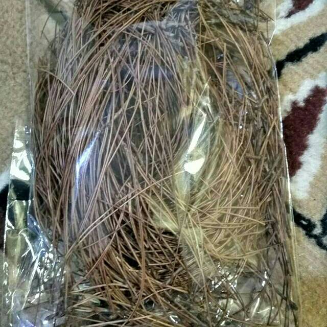 Jual Serabut pinus/daun pinus dried | Shopee Indonesia