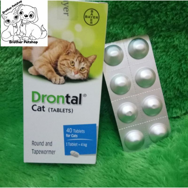 Jual DRONTAL CAT - Obat Cacing Kucing Tablet | Shopee Indonesia