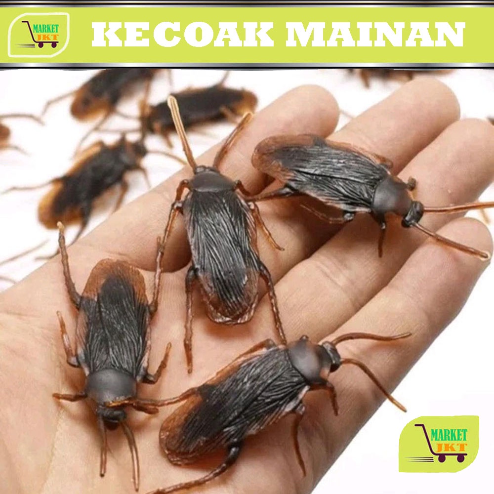 Jual MAINAN KECOA PALSU - KECOAK MAINAN - MAINAN USIL - KECOA KARET ...