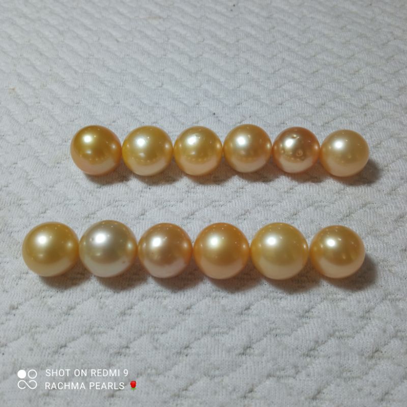 Jual Butiran mutiara air laut grade A warna gold big size jumbo langka ...