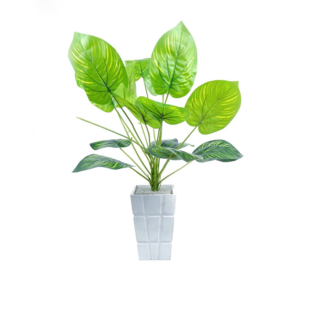 Jual BMW Kitchen Ware - Tanaman Hias Plastik Daun Bonsai Ornamen Pot ...