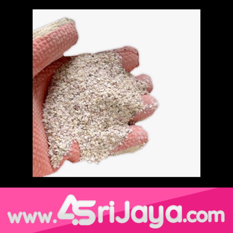 Jual 10KG / 1 Karung Kerang / Sotong Kering Giling / Asinan Grit ...