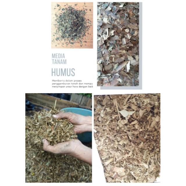 Jual Media tanam ajaib humus daun bambu 500gr | Shopee Indonesia