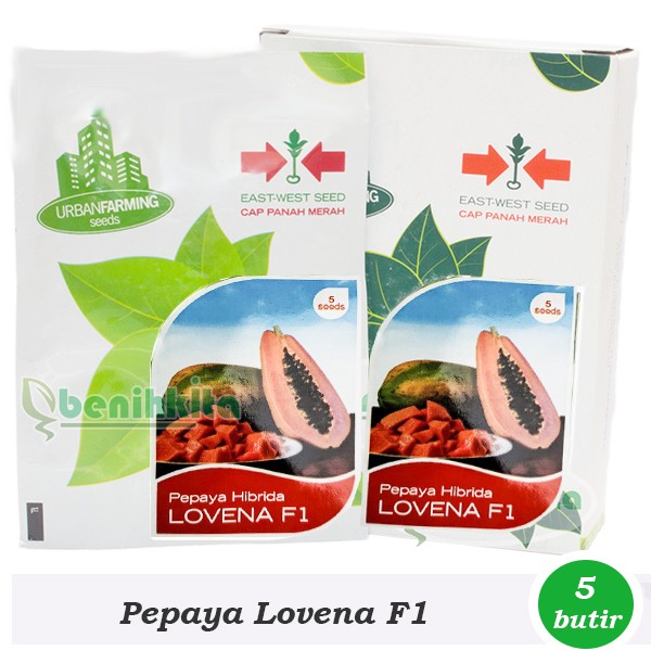 Jual Benih-Bibit Pepaya Lovena F1 (Cap Panah Merah) | Shopee Indonesia