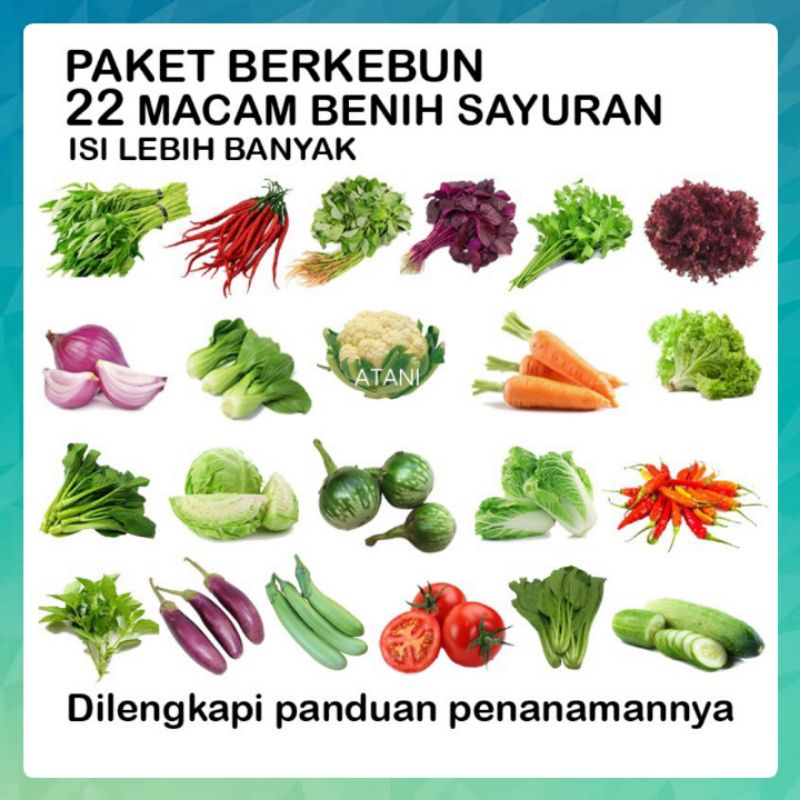 Jual BENIH SAYURAN 22 Macam / Paket Benih 22 Jenis / Berkebun / Hidroponik | Shopee Indonesia