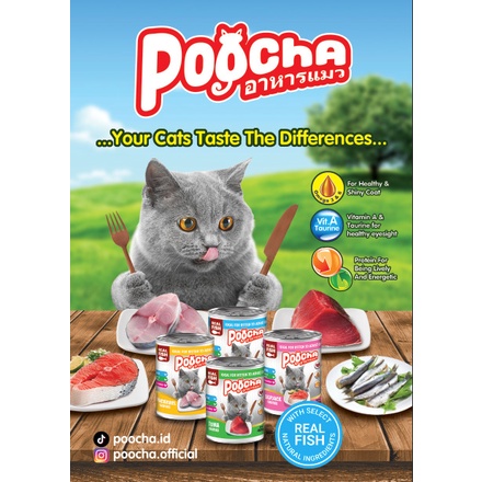 Jual Poocha 400gr makanan kaleng kucing | Shopee Indonesia