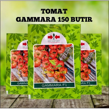 Jual BENIH BIBIT TANAMAN TOMAT KERITING GAMMARA SP 150 BUTIR CAP PANAH ...