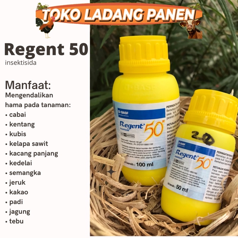 Jual Regent 50 Insektisida 50 ml | Shopee Indonesia