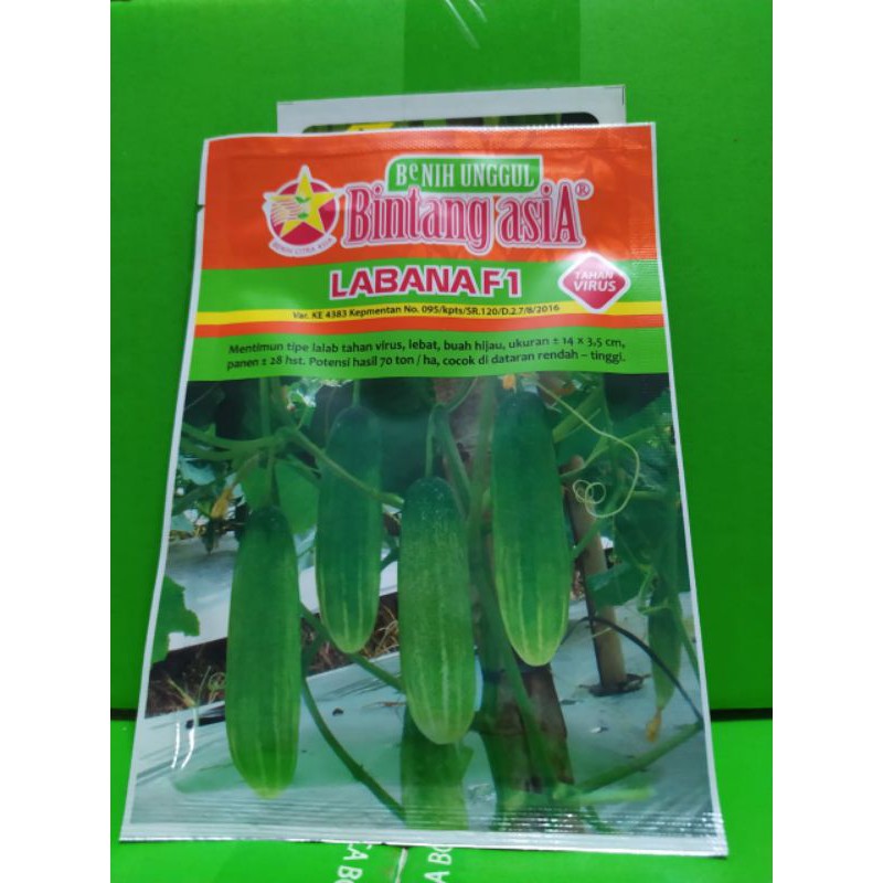 Jual Labana 20 gr ( Timun Lalap, Buah Hijau Keputihan) | Shopee Indonesia