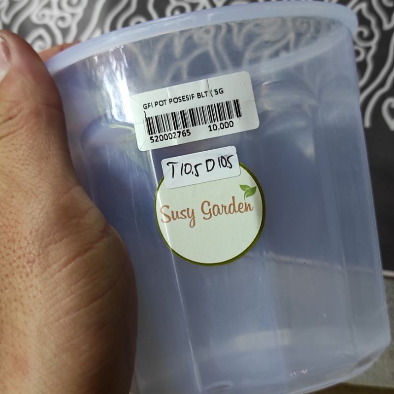 Jual Pot Bening | Shopee Indonesia