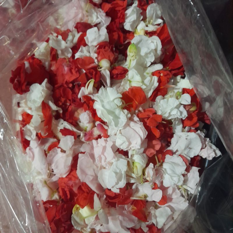 Jual Bunga Pihong / Kembang Pihong / Bunga Tabur Makam Kembang Tabur ...
