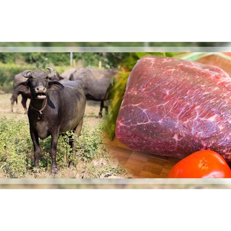 Jual Buffalo Meat Daging Kerbau Segar Frozen 1 Kg | Shopee Indonesia