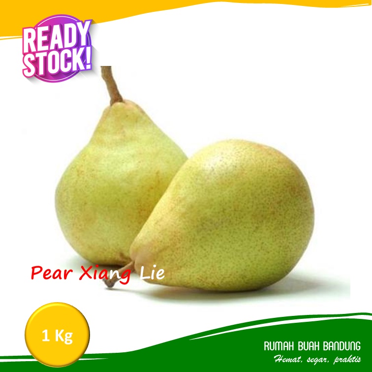 Jual Pir Xiang Lie Segar Manis Renyah 500 gram | Shopee Indonesia