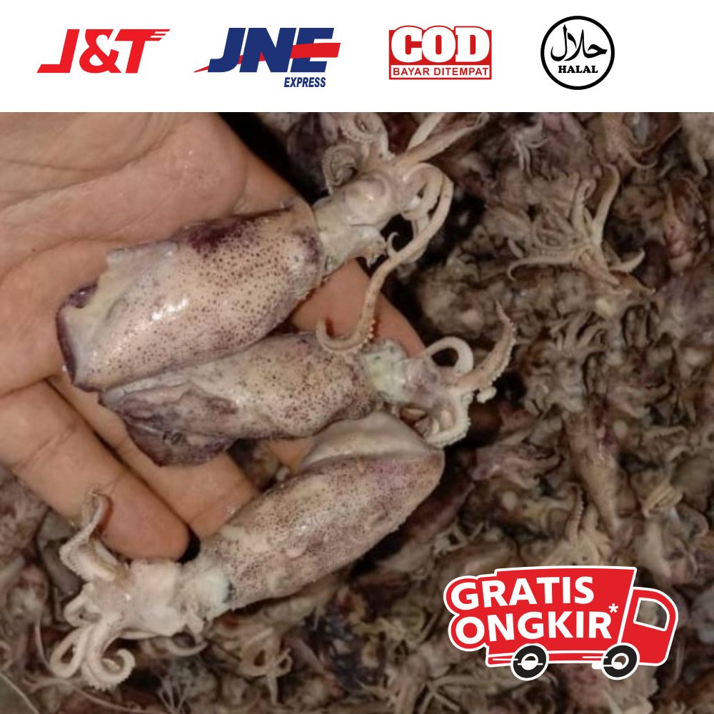 Jual Cumi telor asin medan cumi kering asin medan cumi medan 500 gram ...