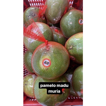 Jual buah jeruk bali pamelo pink pomelo madu banyak air asli jawa ...