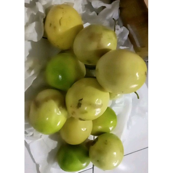 Jual BUAH MARKISA MANIS ASAM SEGAR 500 GRAM | Shopee Indonesia