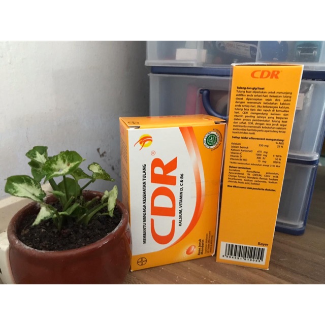 Jual Vitamin CDR | Shopee Indonesia