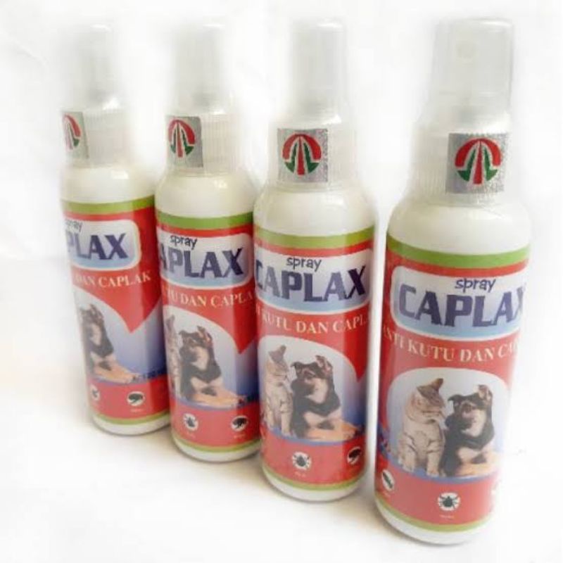Jual Caplax / caplak | Shopee Indonesia