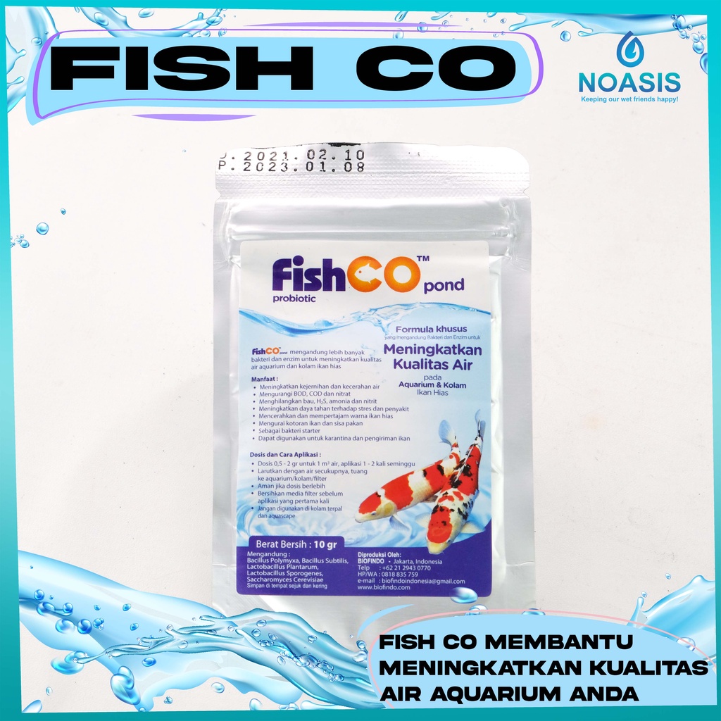Jual FISH CO POND PROBIOTIK 10GRM ( BAKTERI STARTER ) | Shopee Indonesia