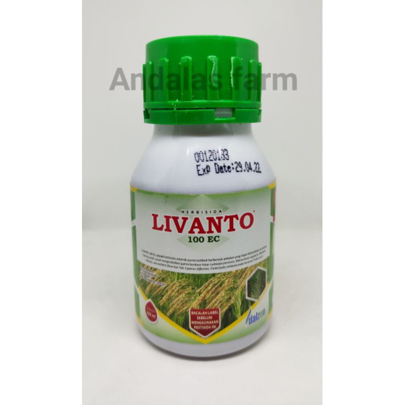 Jual Livanto 100EC @250ml (herbisida purna tumbuh) | Shopee Indonesia