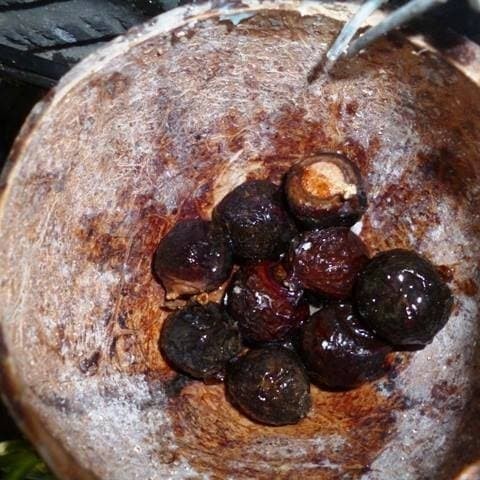 Jual Biji Lerak / Biji Klerek / Biji Rerek (500gr) | Shopee Indonesia