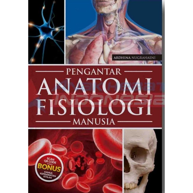 Jual PENGANTAR ANATOMI FISIOLOGI MANUSIA | Shopee Indonesia