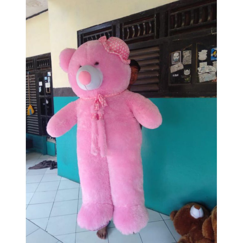 Jual Boneka Teddy Bear Super Jumbo 1.6 METER | Shopee Indonesia