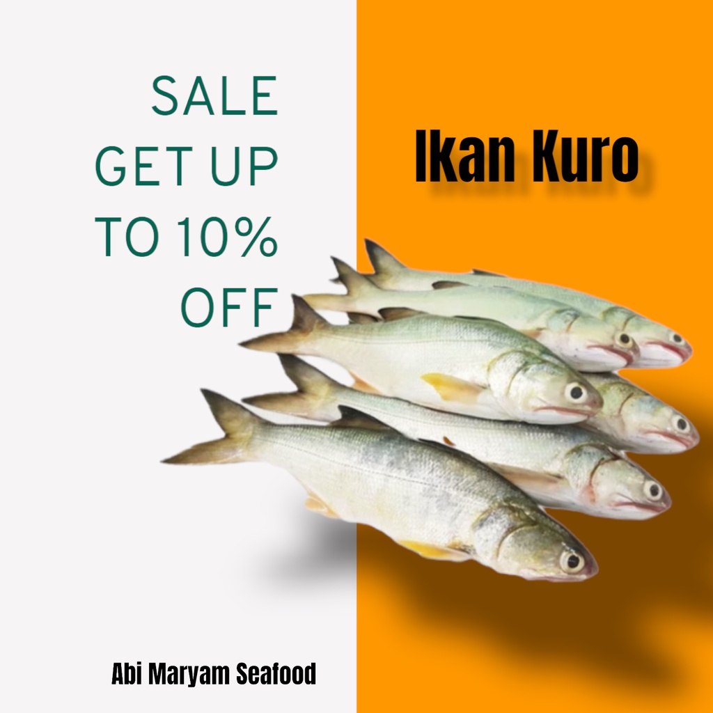 Jual Ikan Senangin / Ikan Kuro Fresh Berkualitas 1kg | Shopee Indonesia