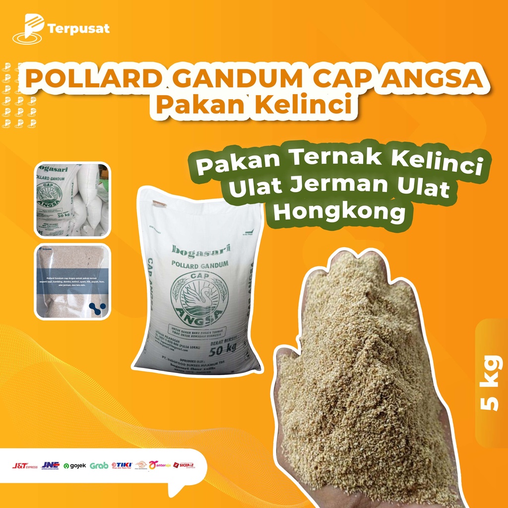 Jual Per 5 Kg Pollard Gandum Cap Angsa polar Makanan Ternak Media Ulat ...