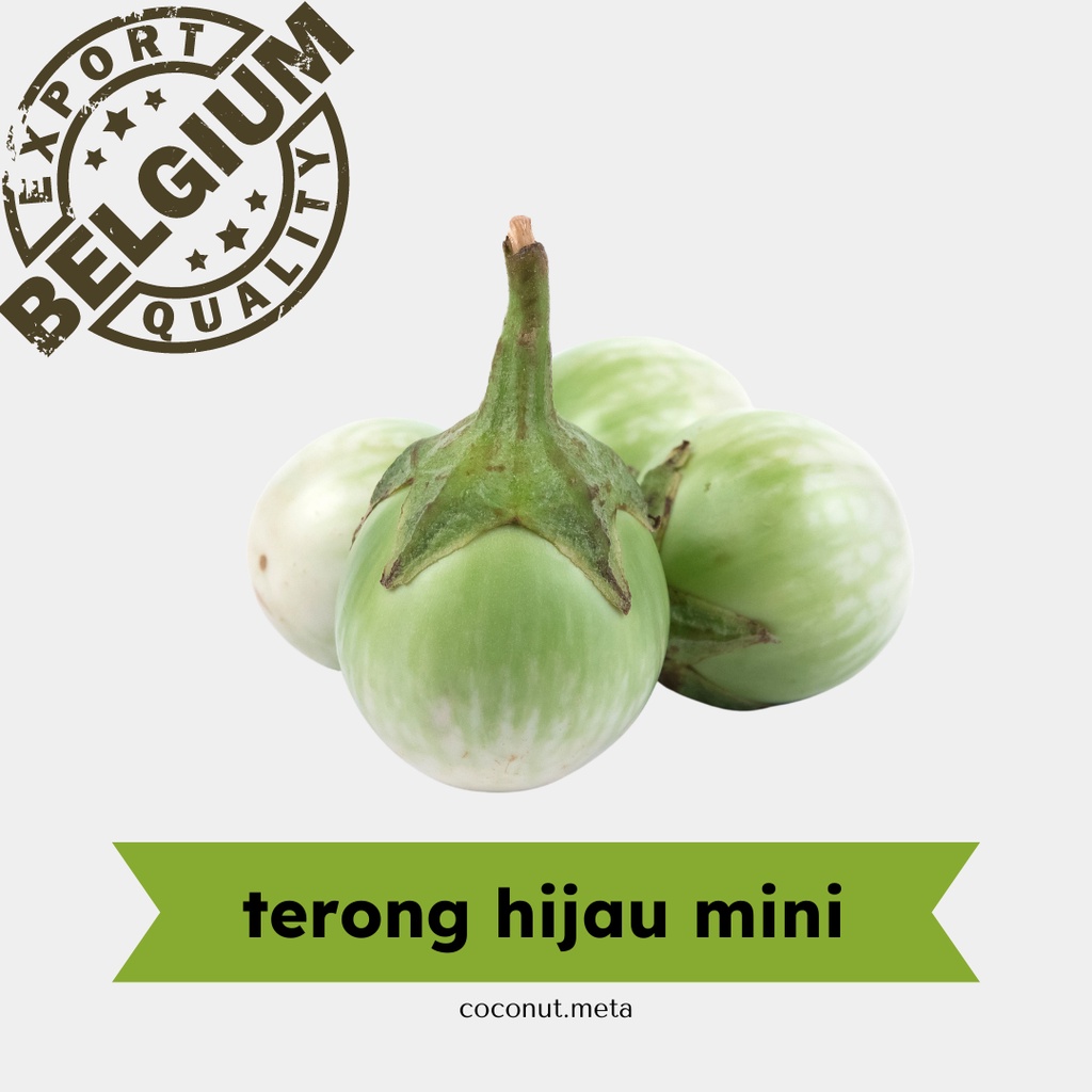 Jual Terong Lalap / Terong Ijo Bulat 250gr | Shopee Indonesia