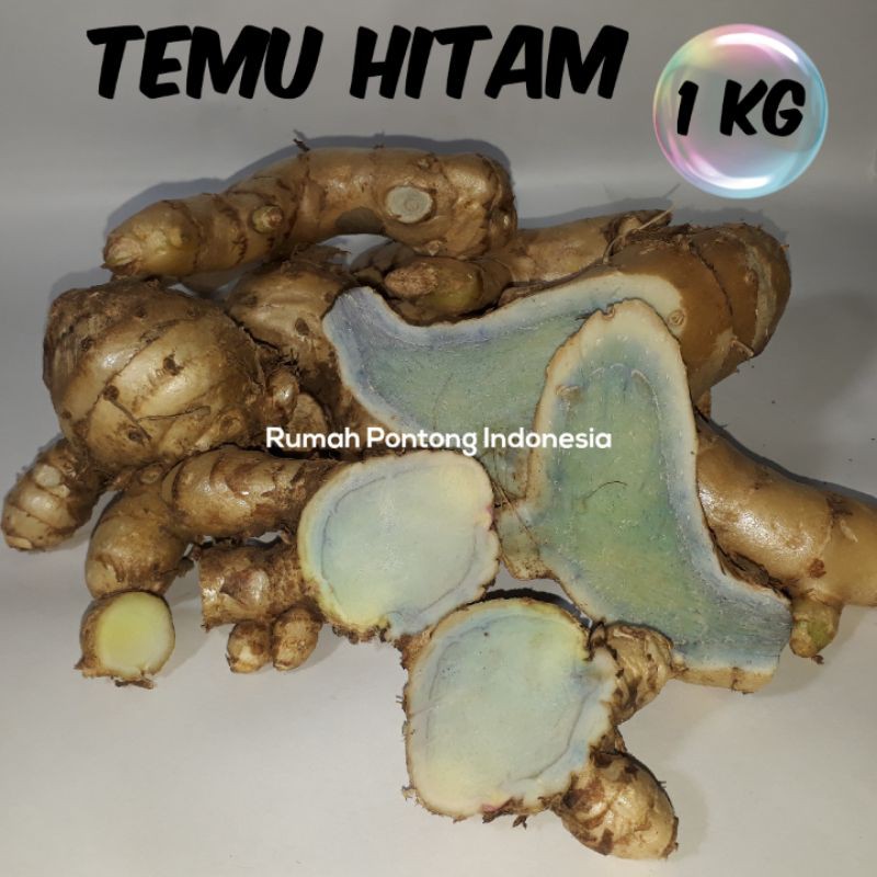 Jual TEMU HITAM / TEMU IRENG | Shopee Indonesia
