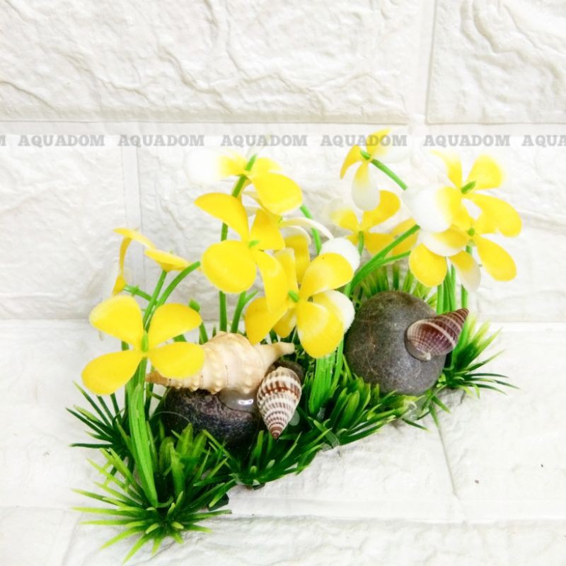 Jual HIASAN AQUARIUM TANAMAN RUMPUT ORNAMEN BATU DAN KERANG LAUT ASLI ...