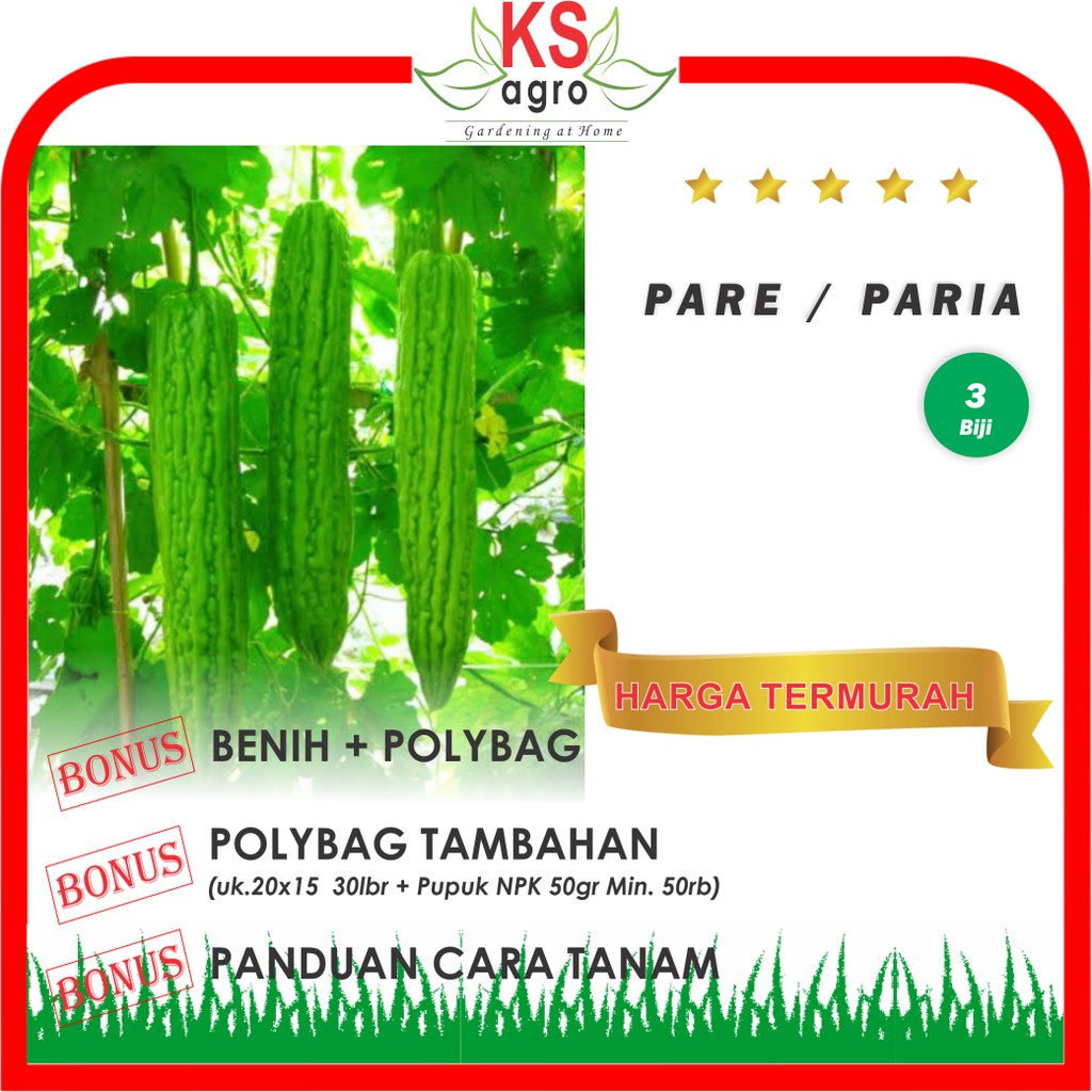 Jual BENIH PARE BIBIT SAYURAN UNGGUL | Shopee Indonesia